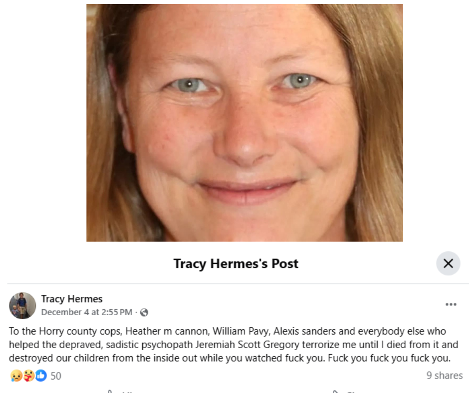 15th Circuit Family Court system drives mother, Tracy Hermes, to commit ...