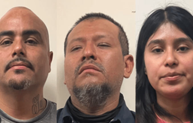 SC Worksite Enforcement in Abbeville: 6 Indicted, 48 Immigrants ...